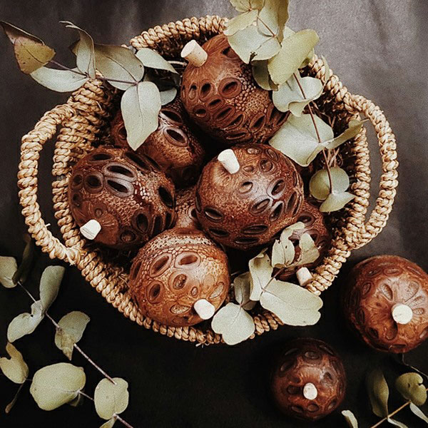 Aroma Pod Diffuser (2 pack) Banksia Grandis Seed: on sale $46 (RRP$60)